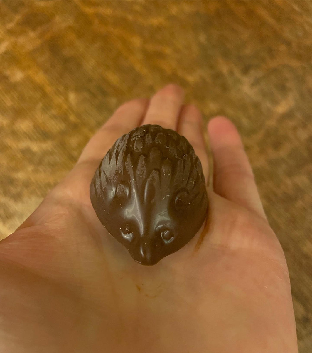 René Rey Hedgehog Chocolates – WEcoShop.ca